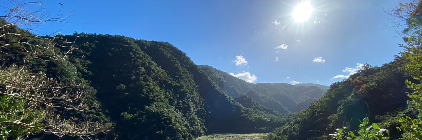 淫蕩工程師 (@lewd_engineer) | Dcard