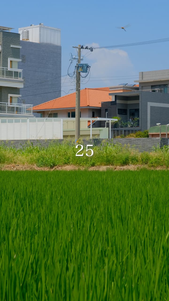 每天寫日記老了可以看第25天 - 小行 (@asteroid_102) | Dcard