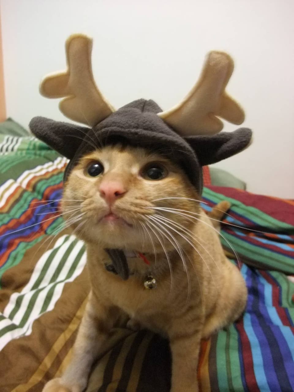 阿笨 - 陳法。雜學 (@doolounge) | Dcard