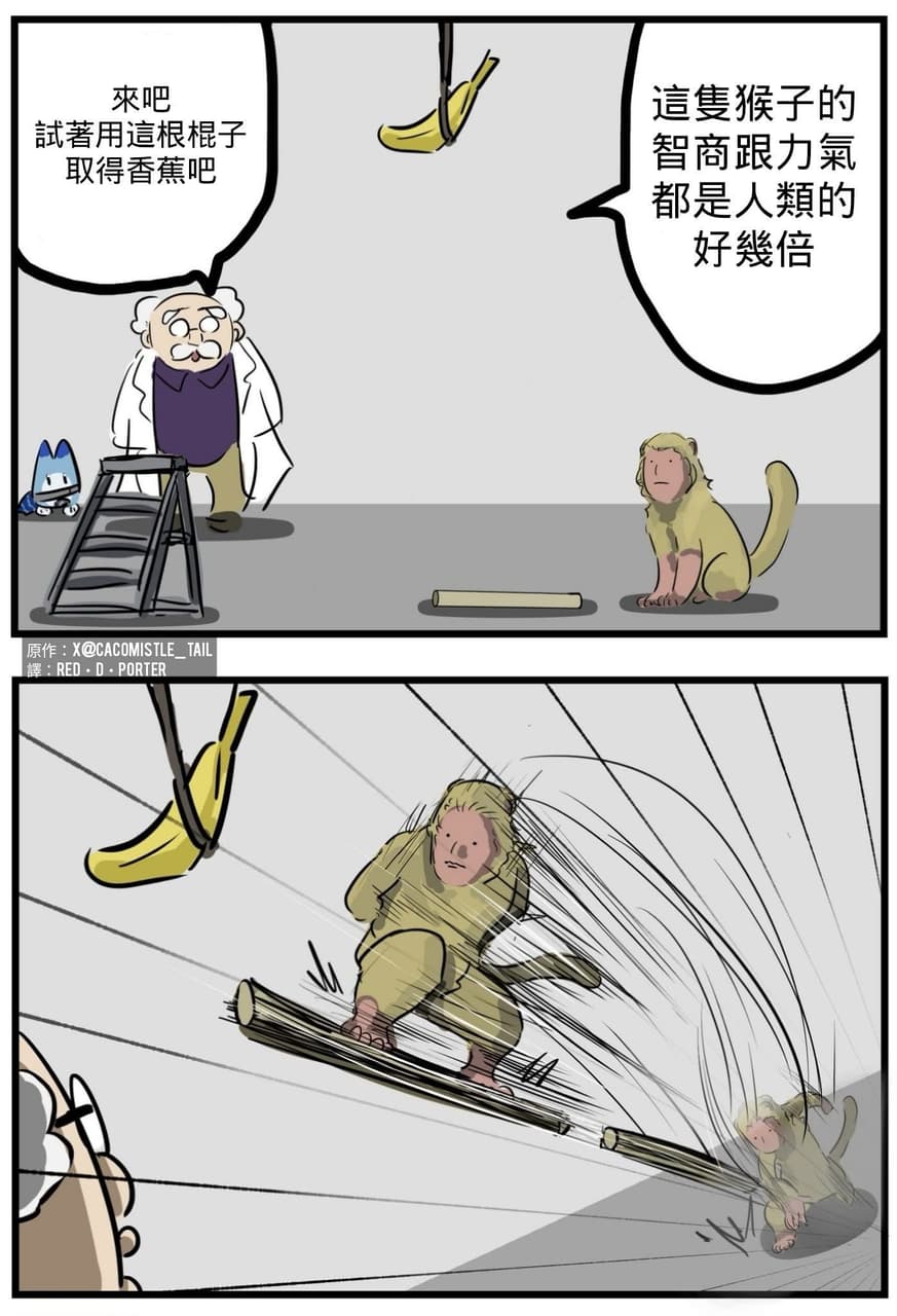 #轉發 猴子 - 梗圖板 | Dcard