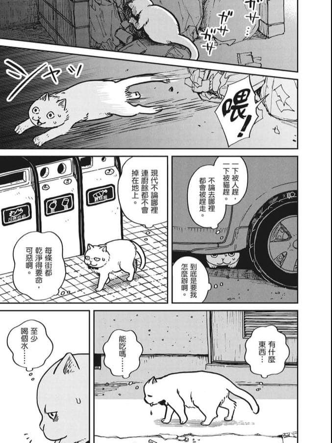 推一部貓咪漫畫>