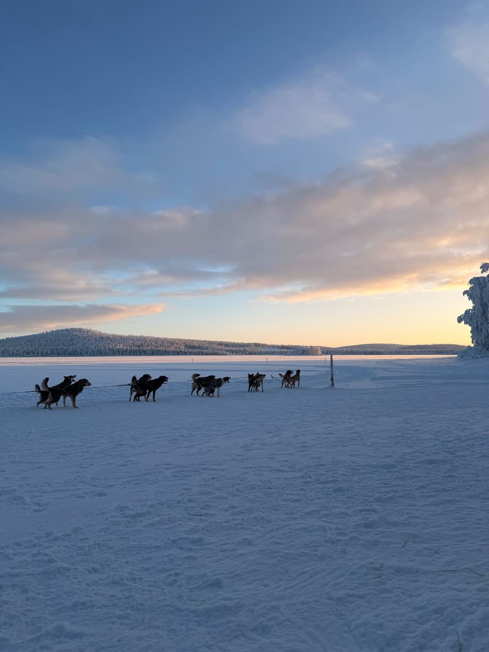 🇫🇮 芬蘭旅遊｜出團分享 - 芬蘭旅遊大使｜Finlander (@finlander) | Dcard