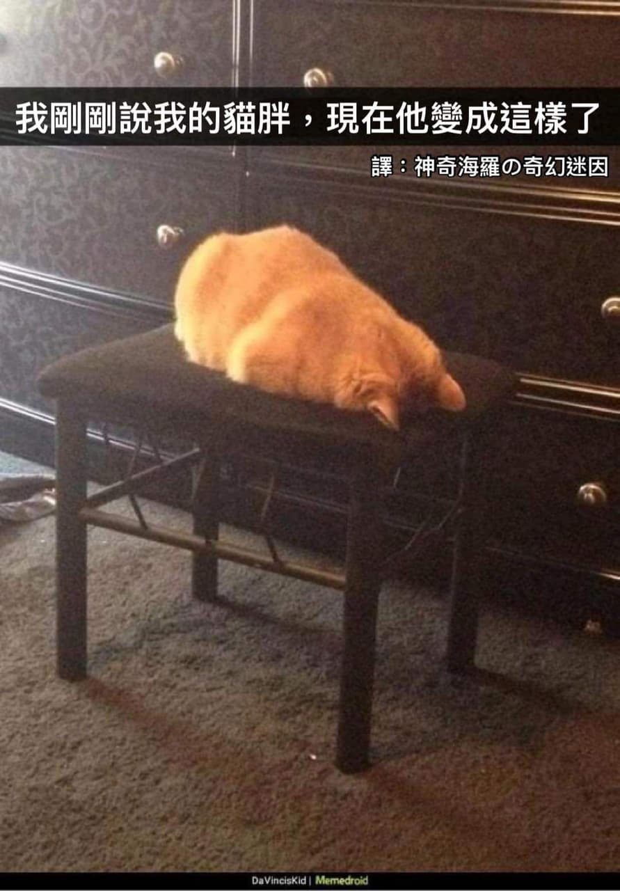 翻譯 😢 梗圖板 Dcard