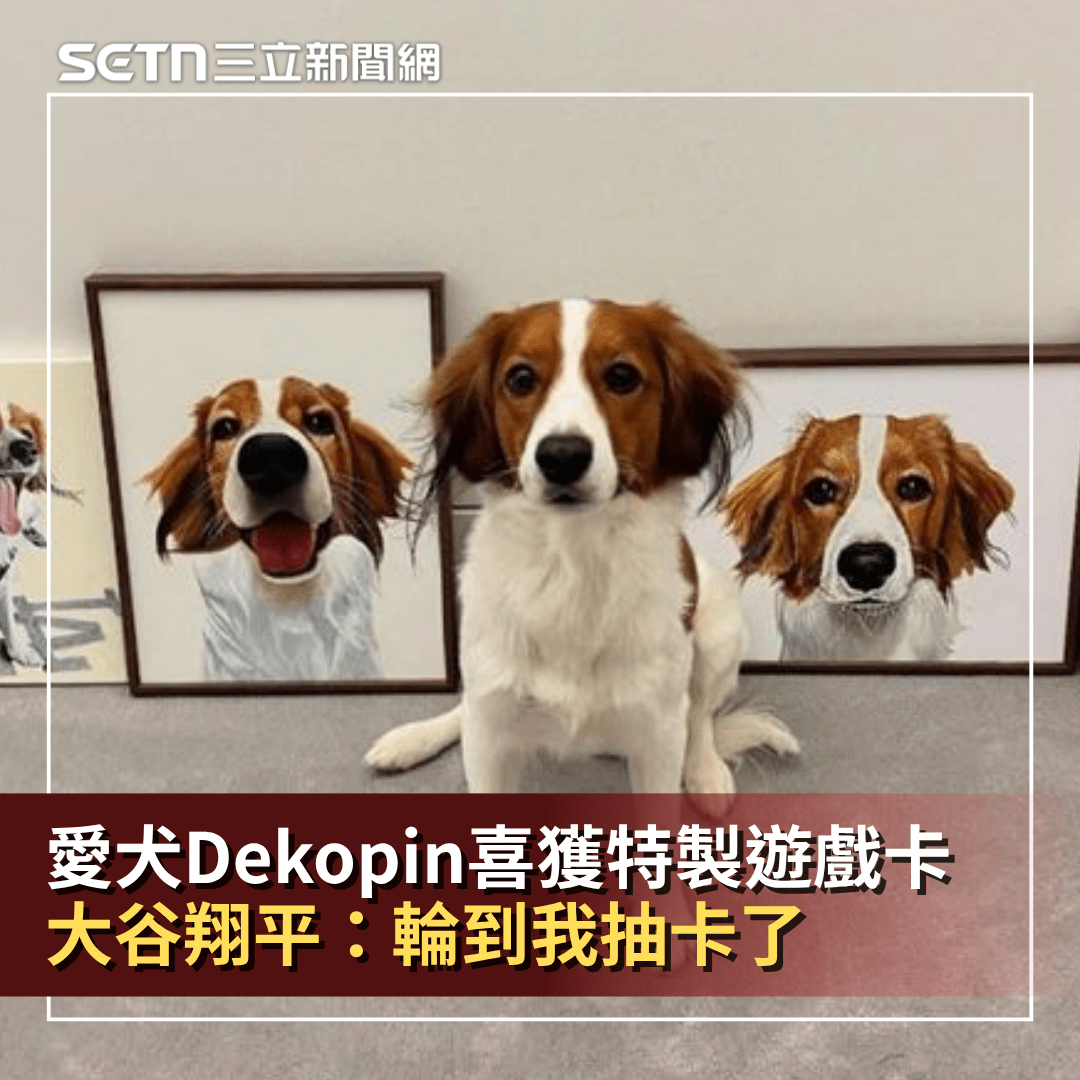 MLB／愛犬Dekopin喜獲特製遊戲卡 大谷翔平：輪到我抽卡了！ - SETN三立新聞網 (@setn54) | Dcard