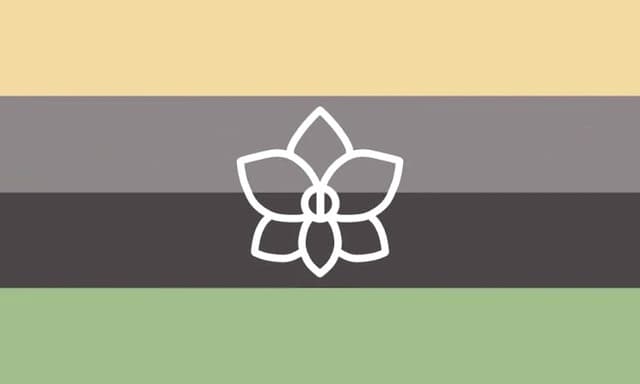 Aroace, Asexual, Demi, Sapiosexual Flags - 無性戀板 | Dcard