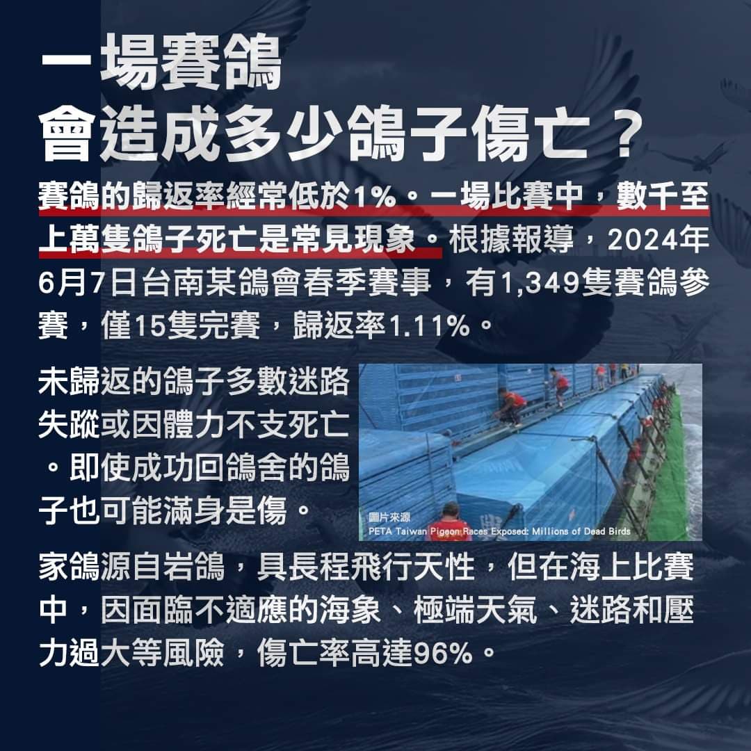 #急>>請加入[反對海上賽鴿連署]（至7/10（含）止 https://reurl.cc/XGnDY7 能救一命是一命，感恩！ - 小事公益板 | Dcard