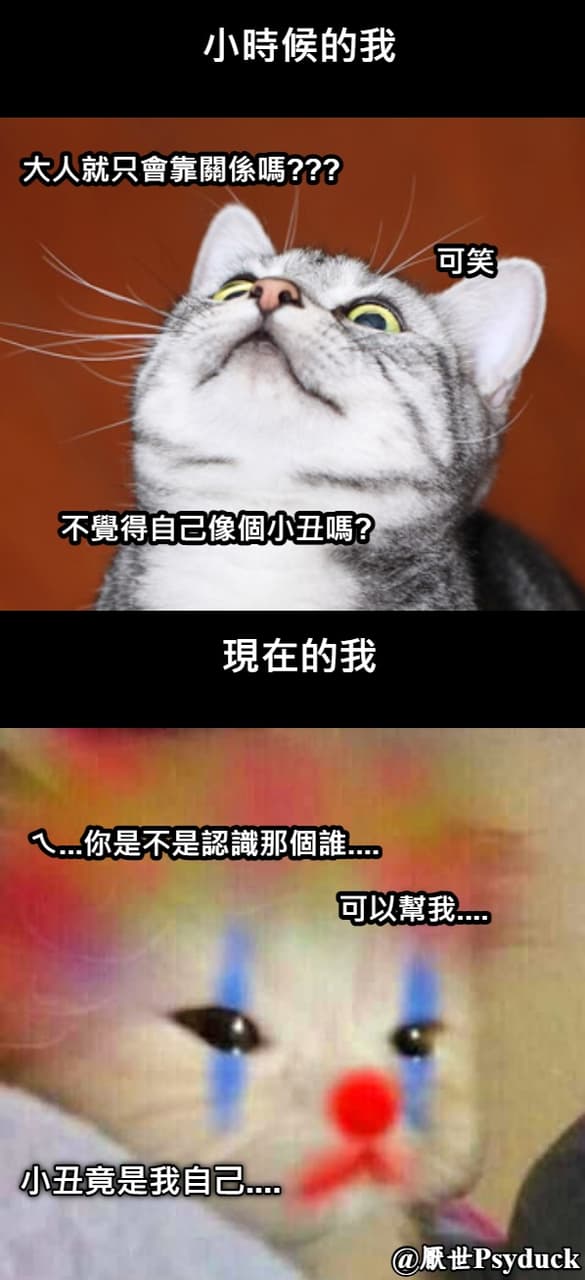 有關係就沒關係 梗圖板 Dcard