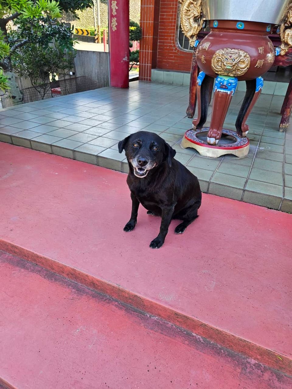 月老故事_001 - 暮春三月 (@muchun_spring) | Dcard