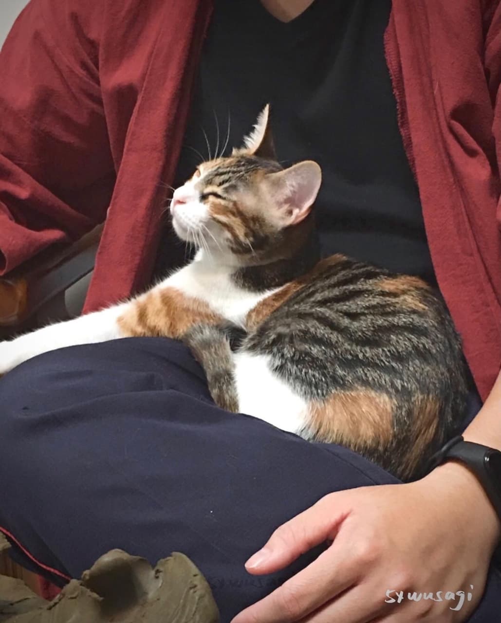 #受寵幸的季節🐰 - 兔級廚師 (@wusagi) | Dcard