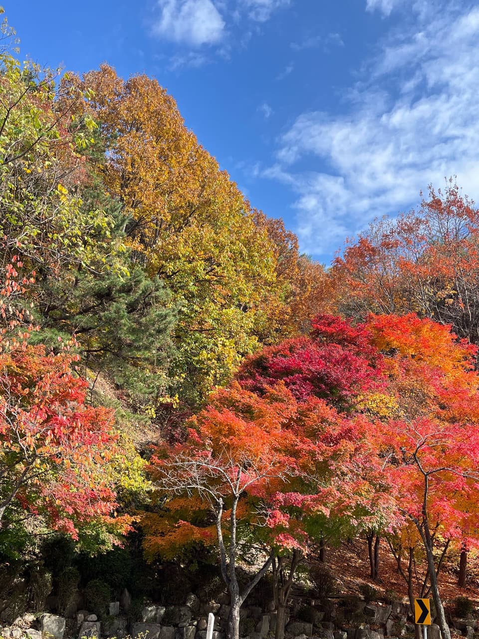 客家千金 (@im1dollar) | Dcard