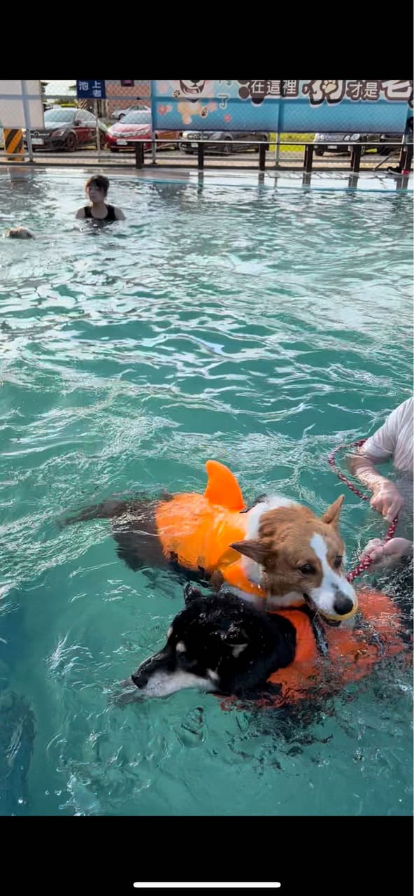 IG限時、Reels影片畫質很差 - 閒聊板 | Dcard