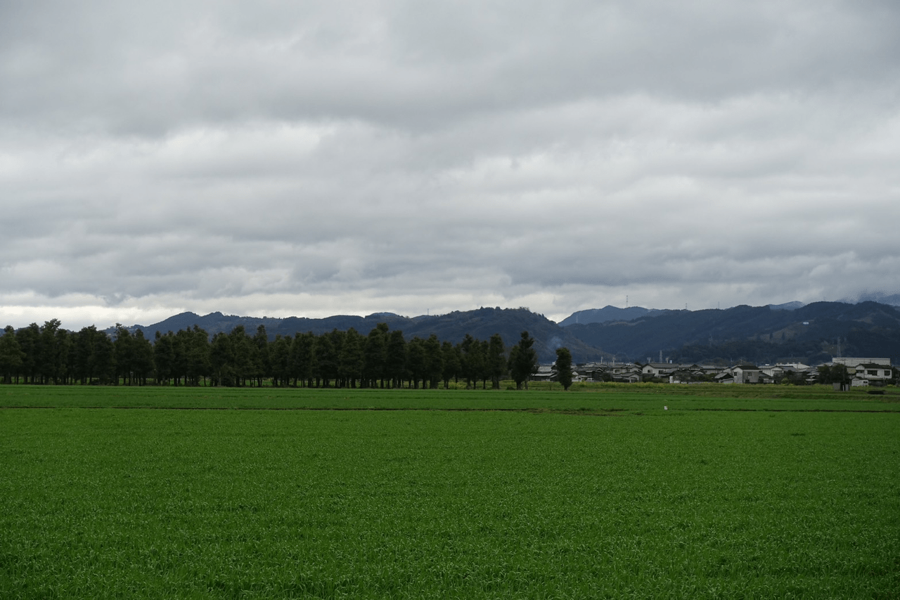 Soft Travel ｜福岡獨旅 #行程分享 - 一花 (@goon.trip) | Dcard