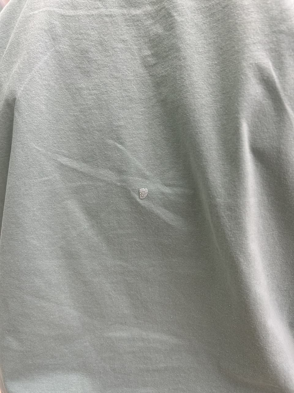 請益 想問問這是什麼蟲的卵 😭 昆蟲板 Dcard