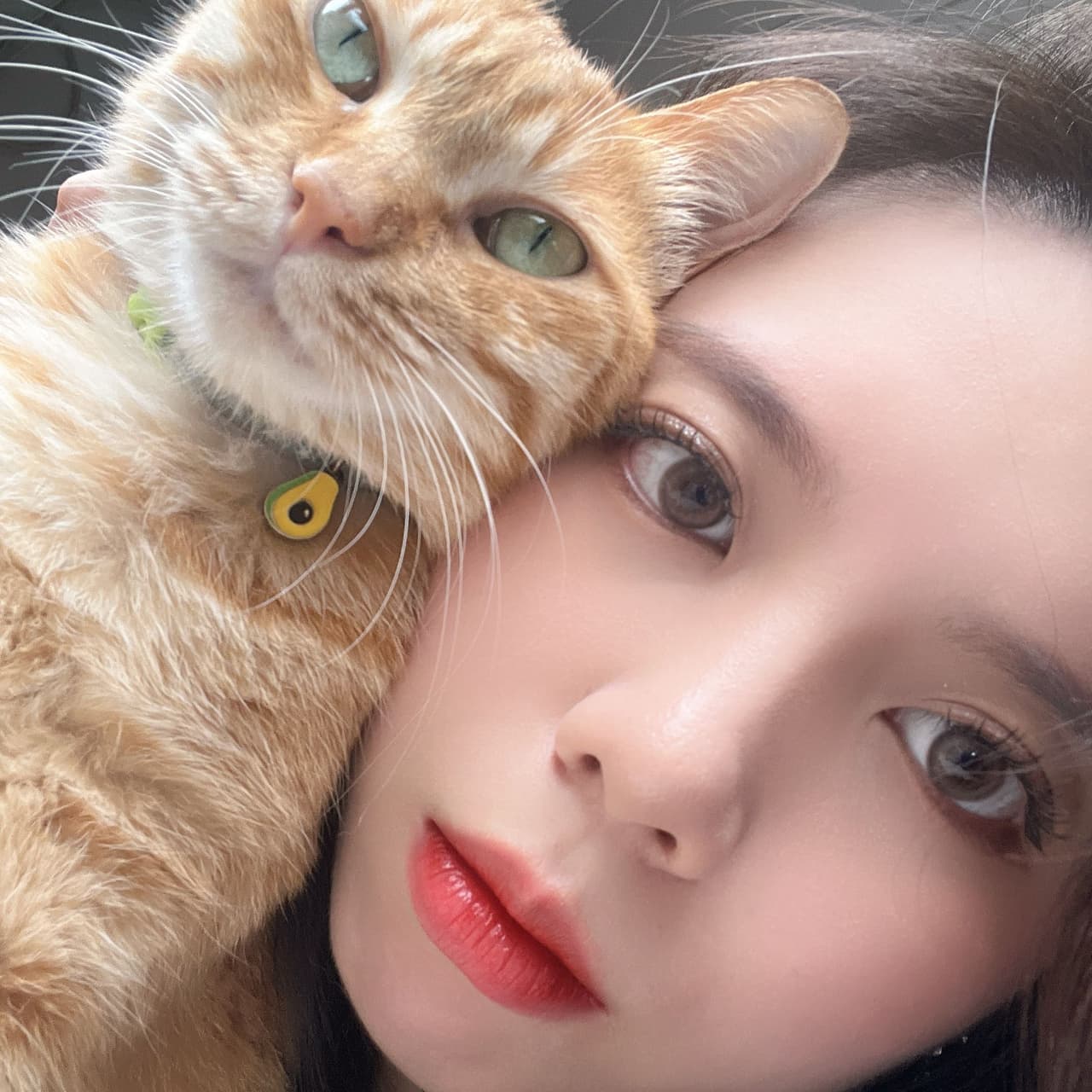 HAPA KRISTIN入門款輕混血隱眼Pit-a-Pat Kristin｜文末有專屬折扣碼💓 - 酪梨媽 (@lin.00) | Dcard