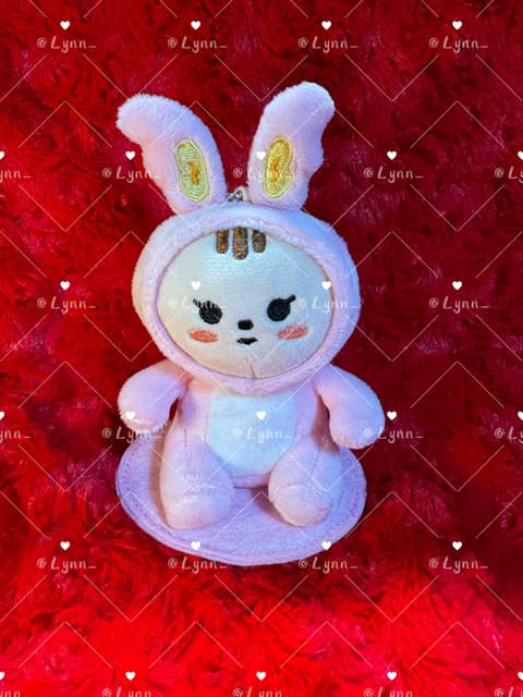 #開箱 MINITEEN💎磁鐵娃娃鑰匙圈、卡套、手燈套💎JJONGTORAM - SEVENTEEN板 | Dcard