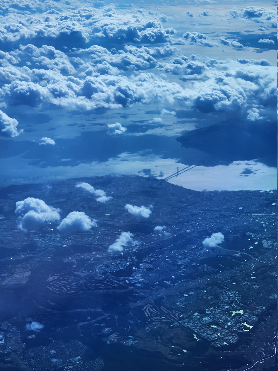 #飛行紀錄 日本航空 🇯🇵東京羽田HND-🇮🇳印度新德里DEL B789 經濟艙分享 - 航空板 | Dcard