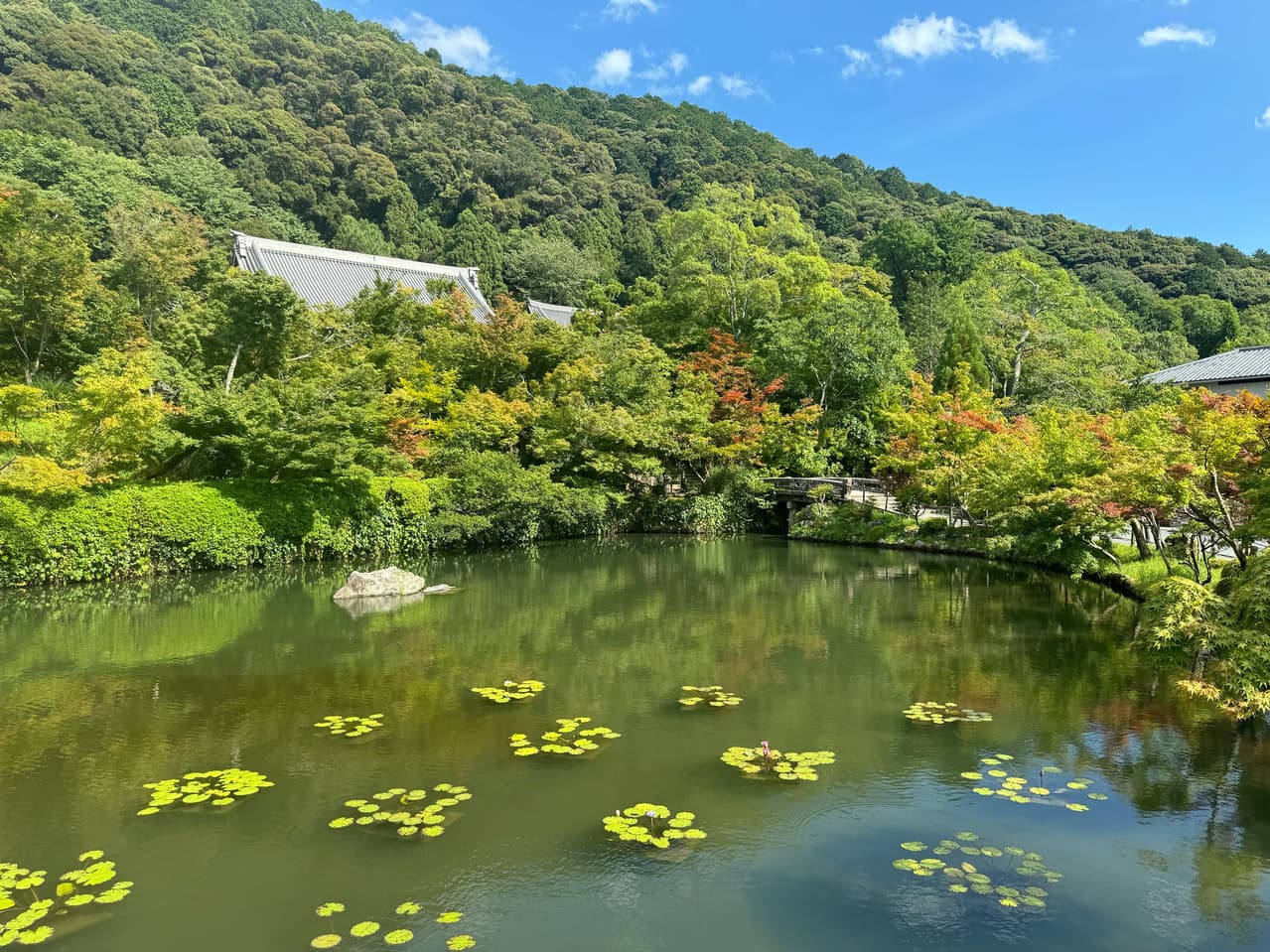 烈焰關西偽獨旅 Day7 - 𖦹 ´ ᯅ ` 𖦹 (@yi.lo) | Dcard