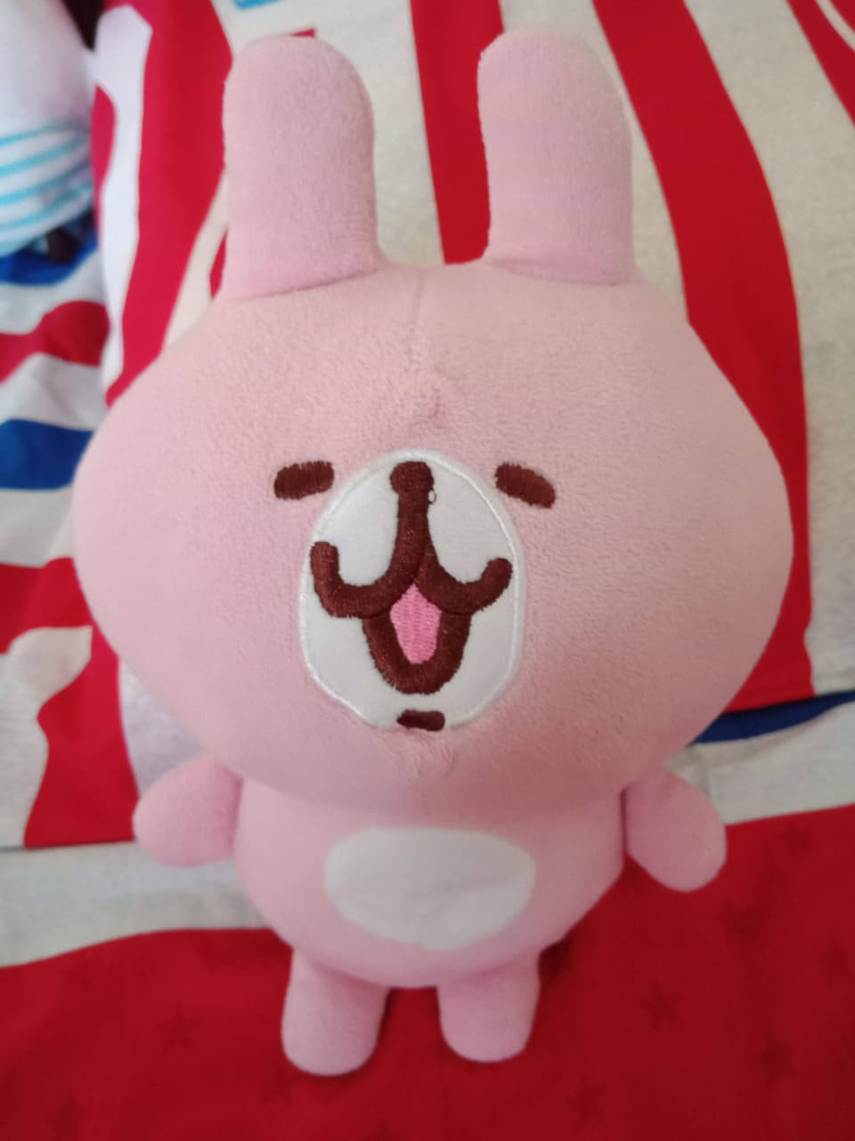 當姐妹都是卡娜赫拉迷 - B30 留言 | Dcard