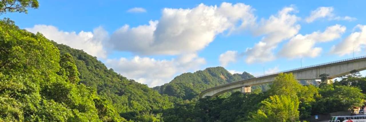 【購物前必讀】無線還是有線？寬版還是窄版？超完整「負離子直髮梳」挑選指南，不再花冤枉錢！ - QQ果凍 (@qq_jelly) | Dcard