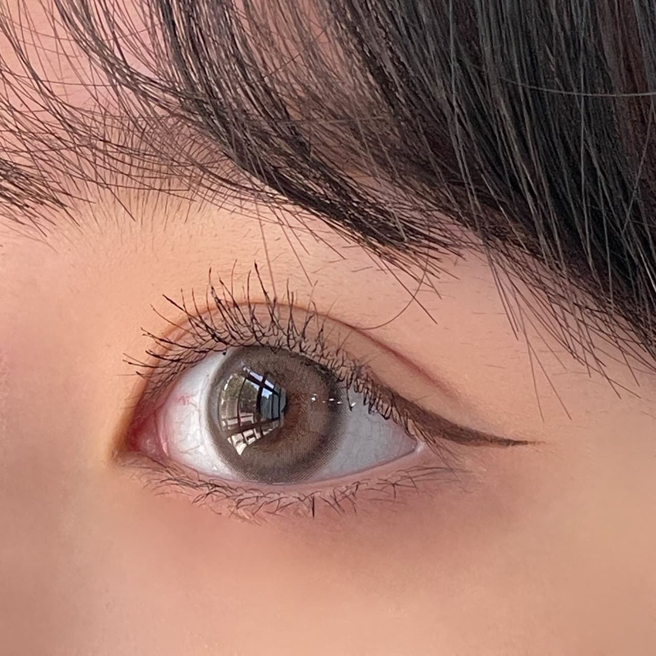 OPT月拋-米爾棕 - 隱形眼鏡板 | Dcard