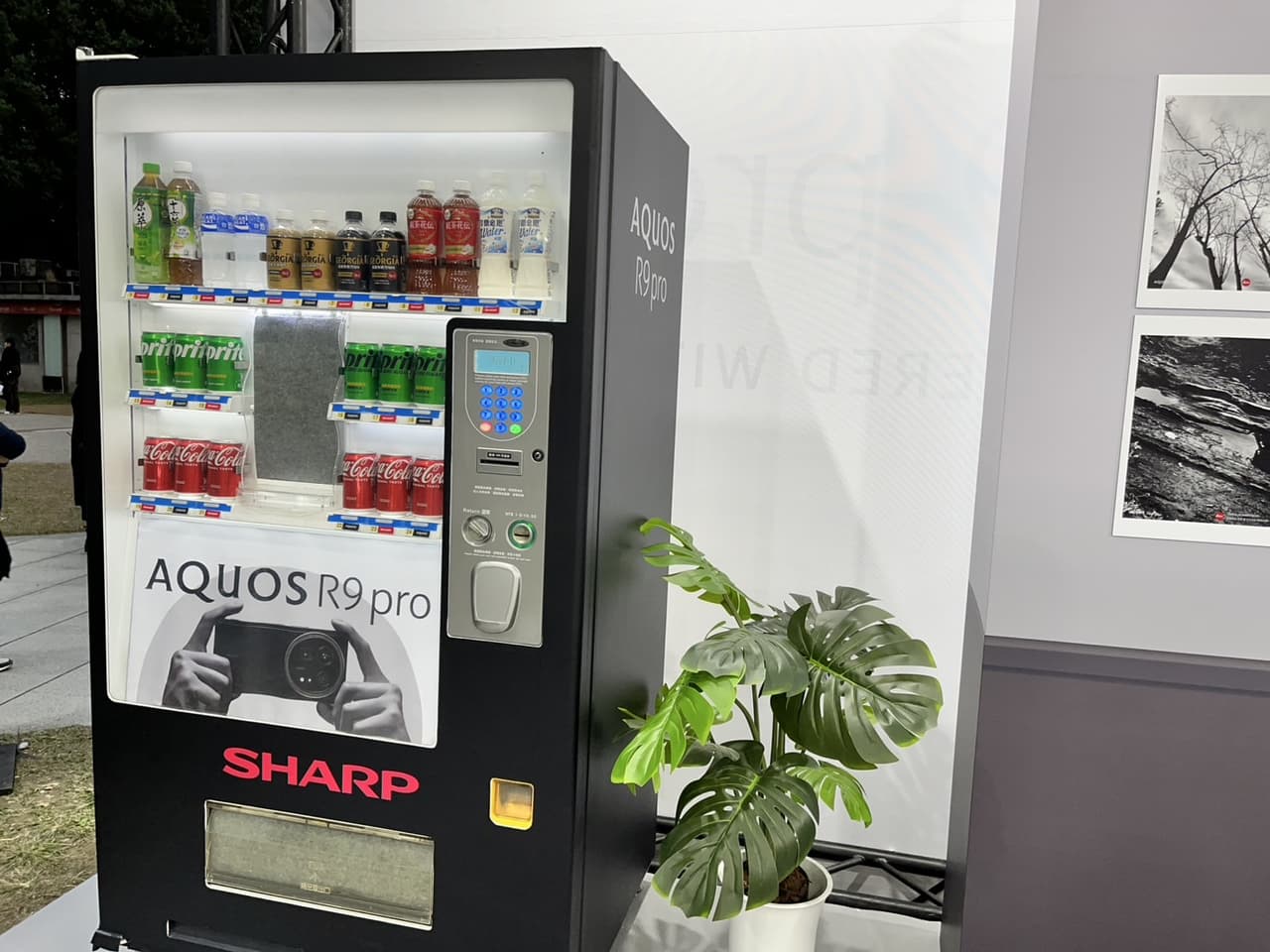 分享Sharp R9 Pro華山體驗心得 - 3C板 | Dcard