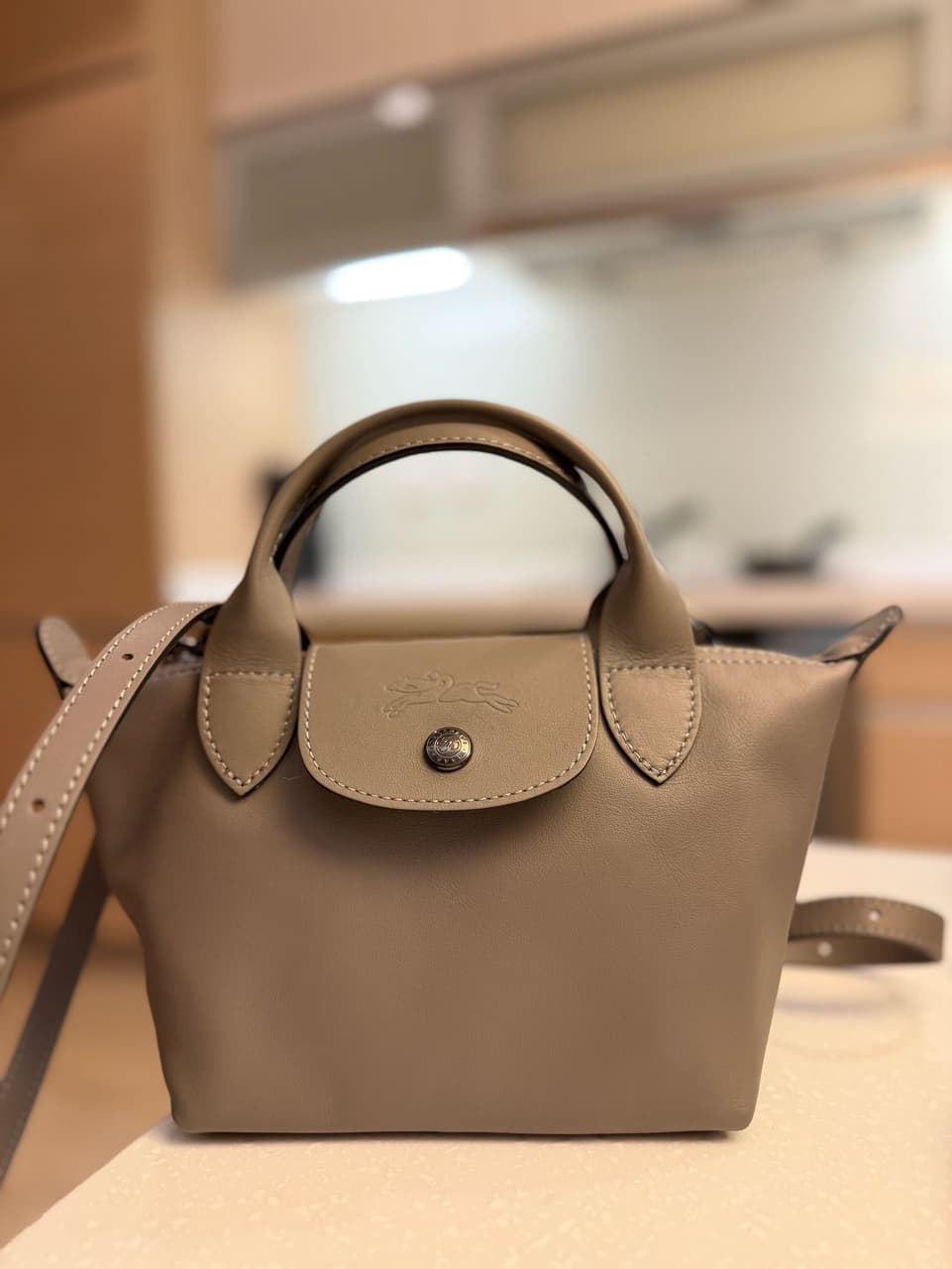 Longchamp包選擇 - 女孩板 | Dcard