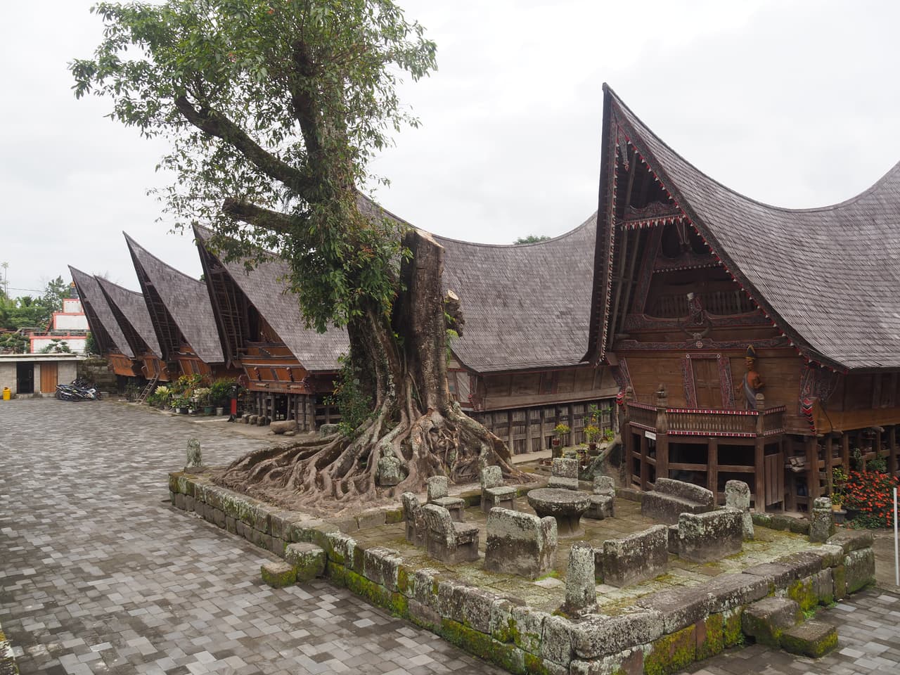 印尼北蘇門答臘九日行程 #多巴湖 #火山 #紅毛猩猩 #簽證 - 旅遊板 | Dcard