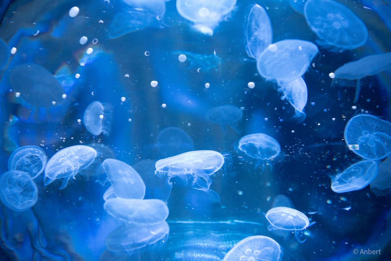 #作品 Xpark - 攝影板 | Dcard