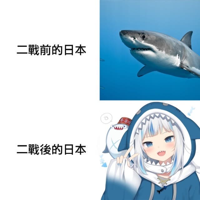 我愛鯊鯊 梗圖板 Dcard