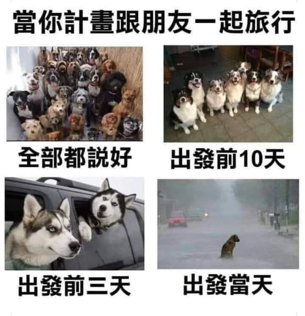 可憐哪 梗圖板 Dcard