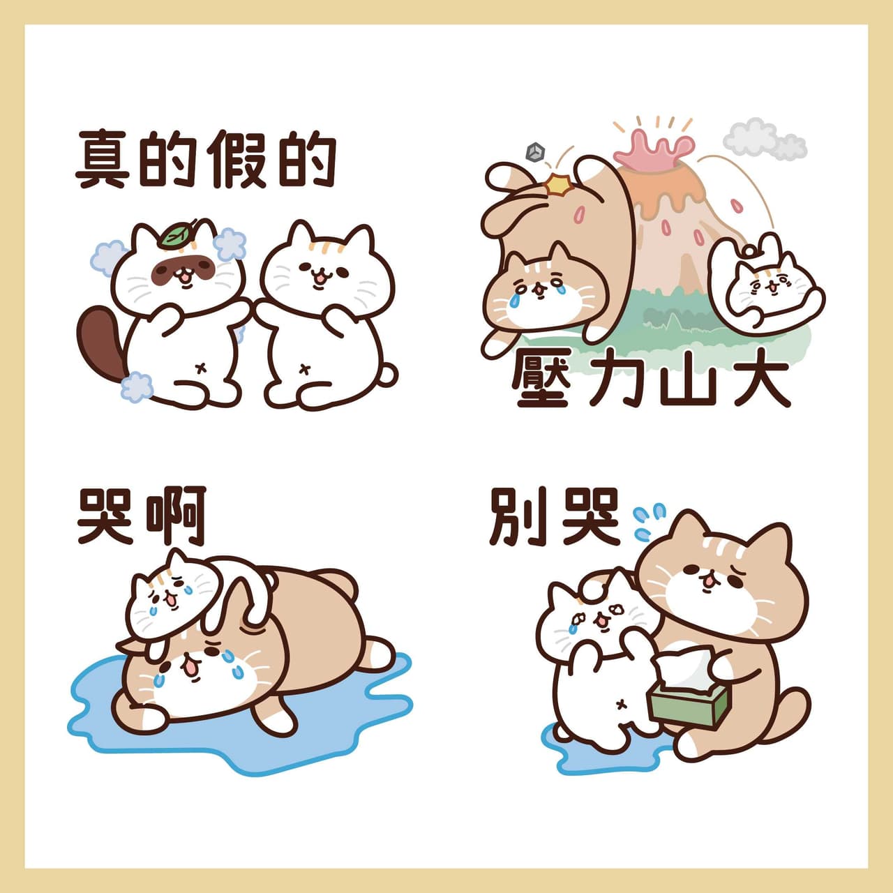 箱居的野良貓 - 迷因梗圖1 - 箱居的野良貓 (@particat) | Dcard