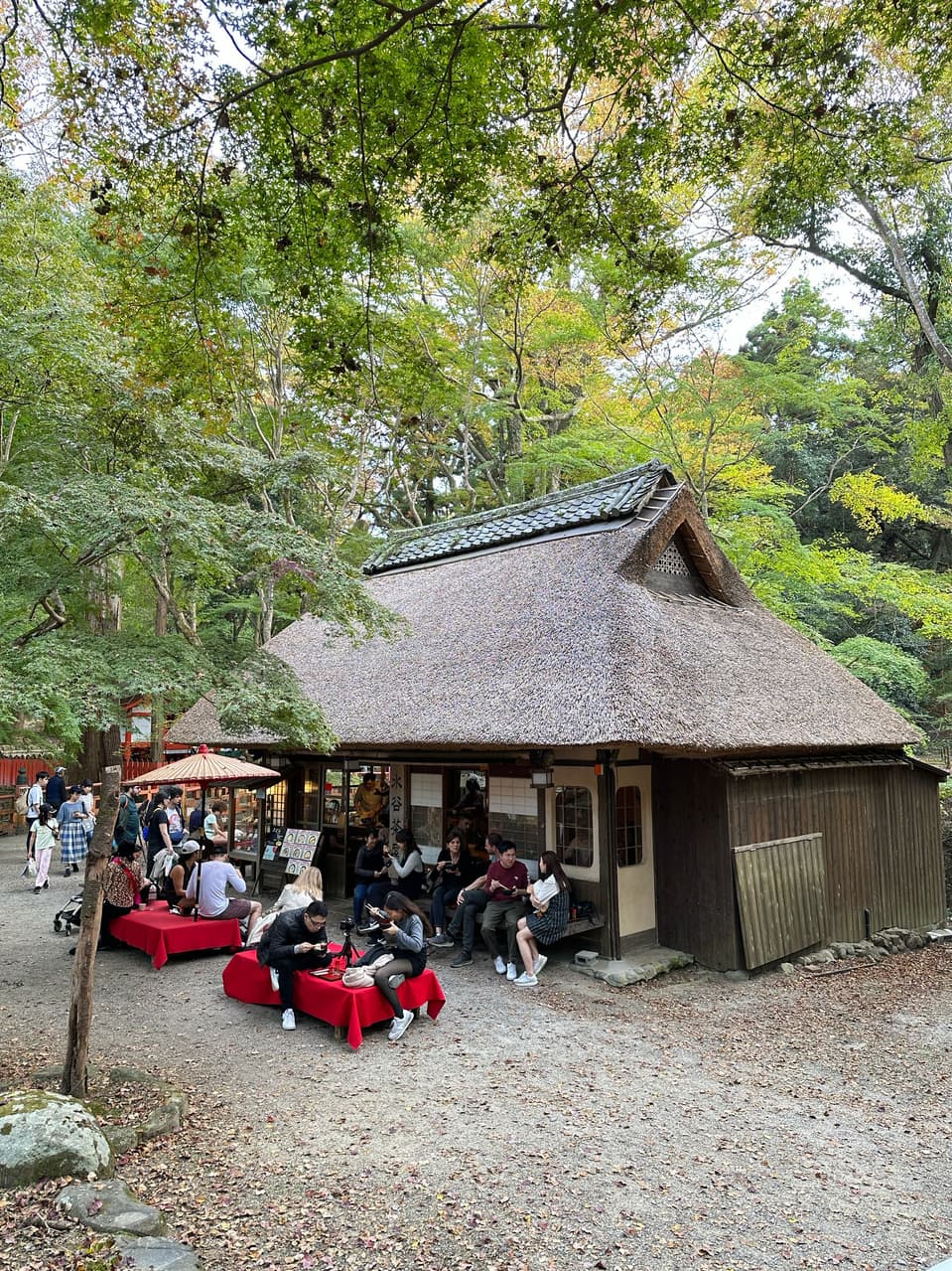 偽素食仔的大阪奈良京都7天6夜自由行-上篇 - 日本旅遊板 | Dcard