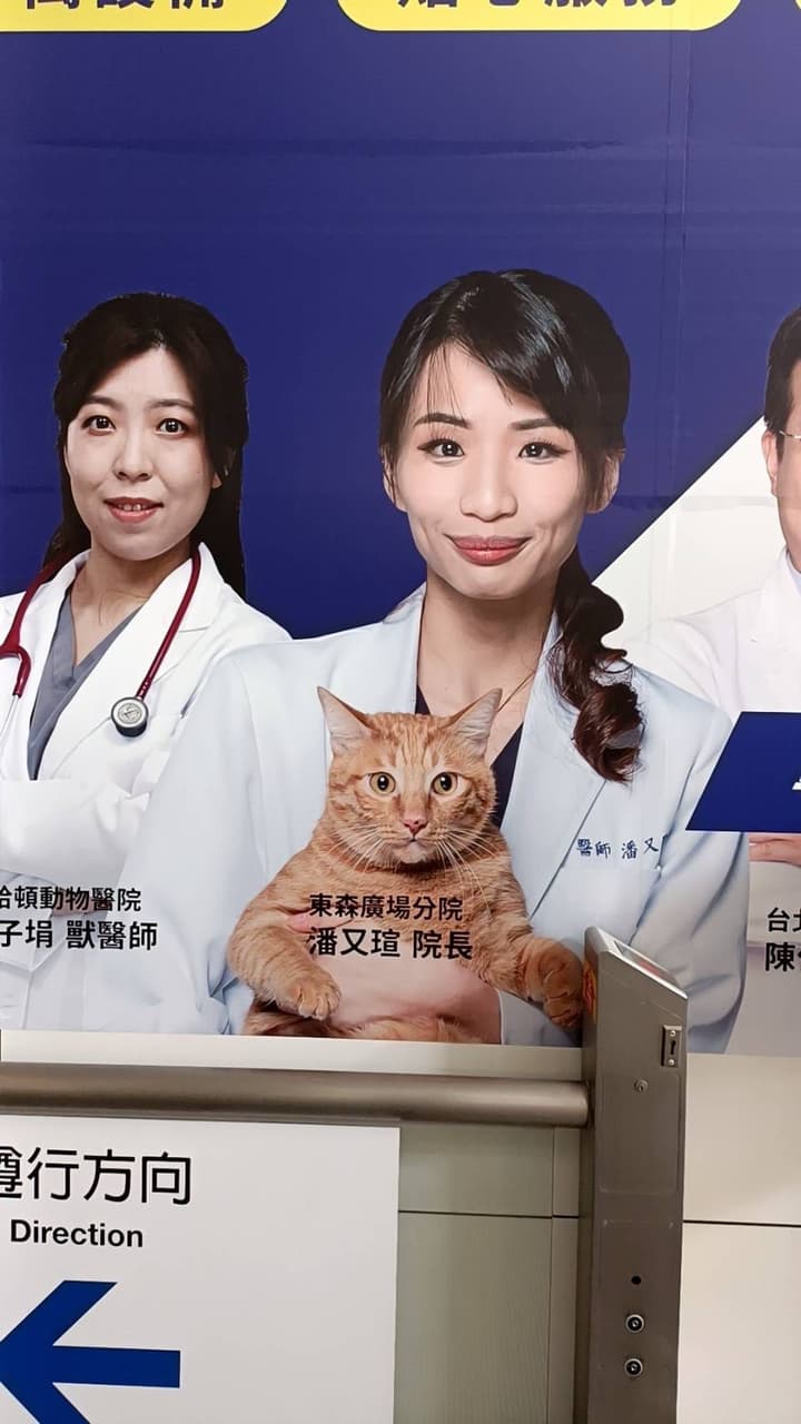 好可愛的院長 閒聊板 Dcard