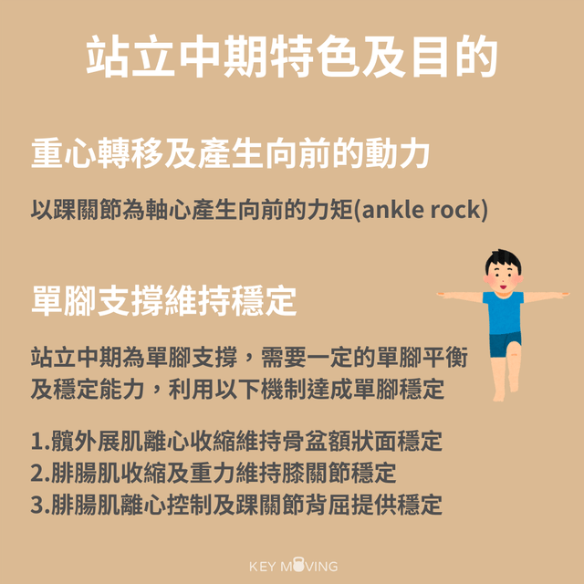 從走路看到身體的問題---站立中期 - 還有夢想的物理治療師 (@bo_soul) | Dcard