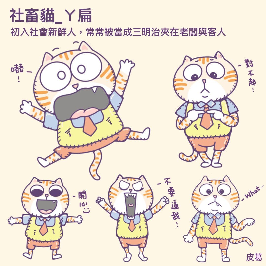 貓咪社畜日誌 - 龍豬毛毛🤍 (@dpccsh) | Dcard