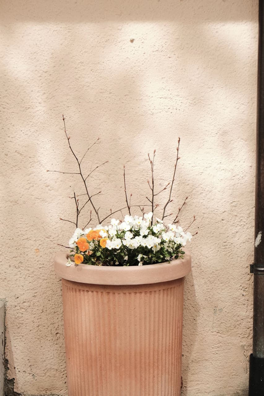 #作品 X-T30II 歐洲散步 Part III - 攝影板 | Dcard