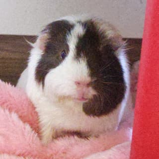 valerie02132 (@valerie02132) | Dcard