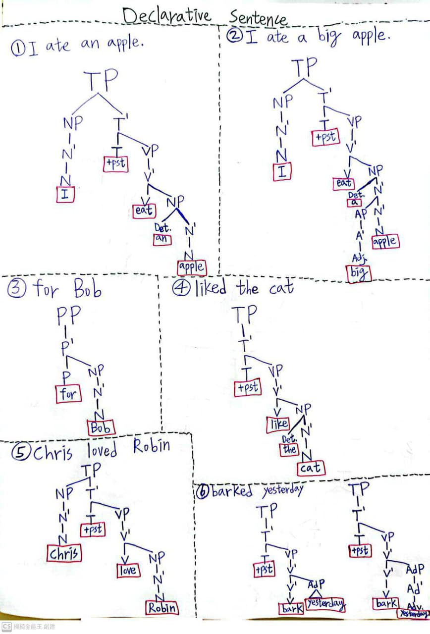 PS Tree from Syntax in Linguistics. (X Bar Theory) (Tree Diagram) - 明新科技大學板 | Dcard