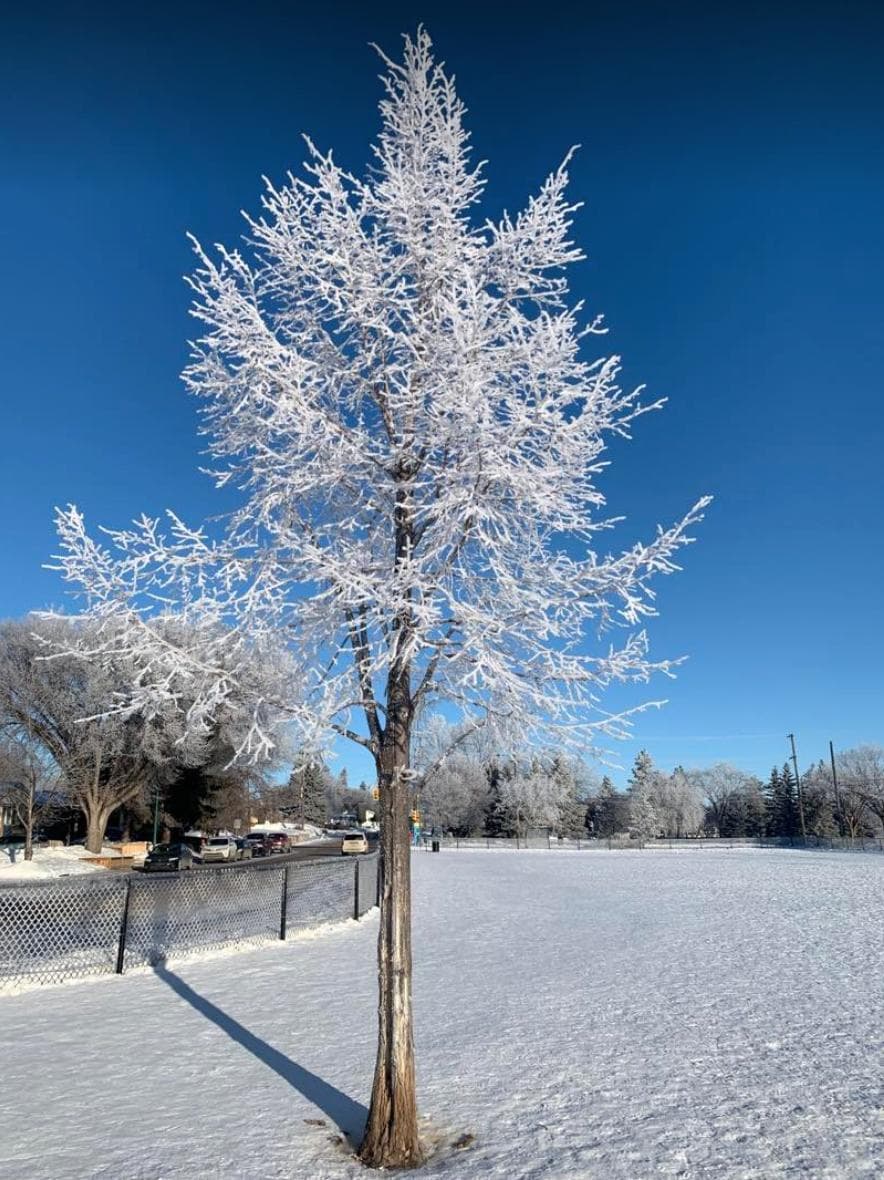 我的卡通人生 Part IV - 心情板 | Dcard