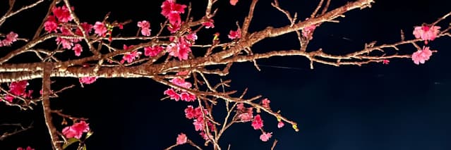 雨水一盒 (@isabel1025) | Dcard