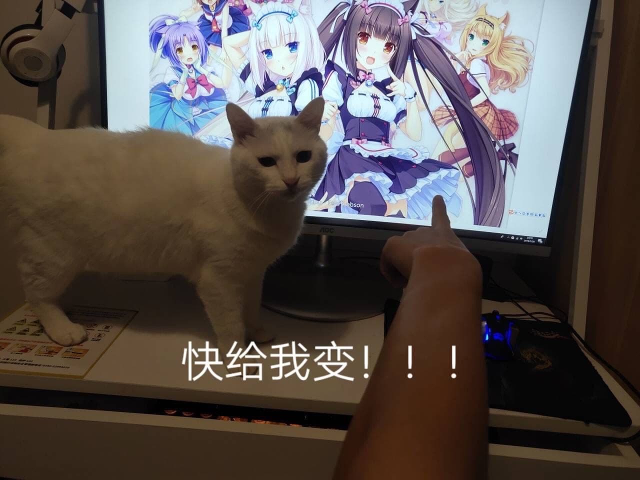 梗圖板 Dcard
