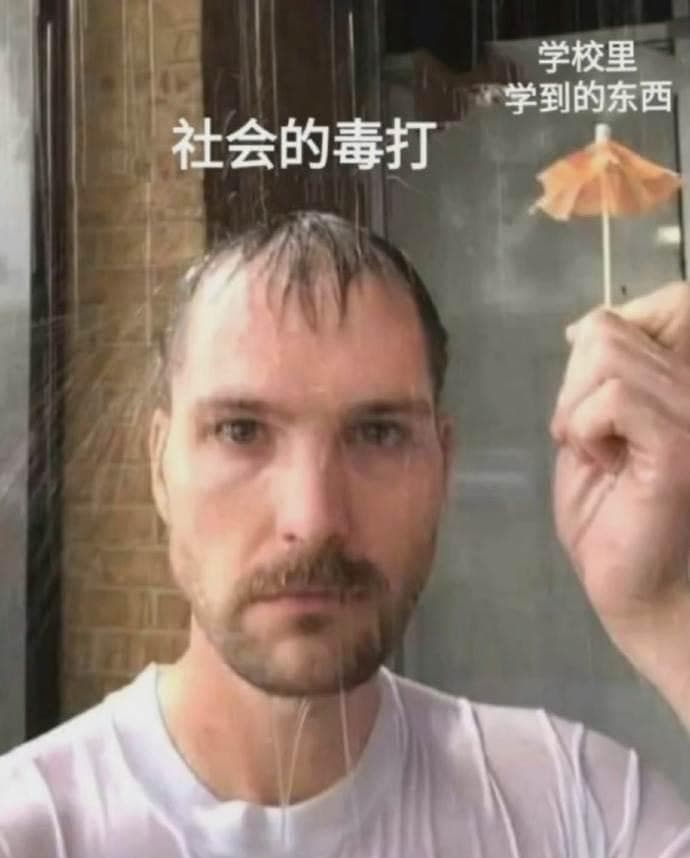 對於剛出社會的我 梗圖板 Dcard