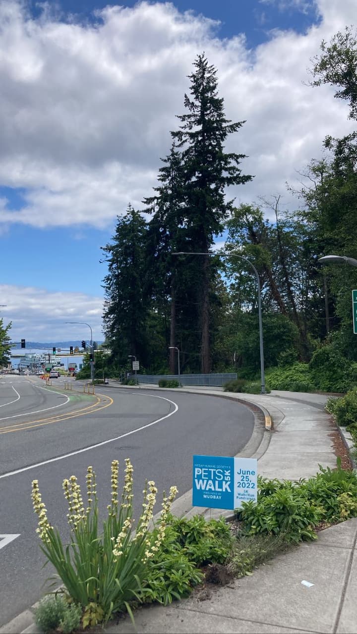 走吧！來去圓一場🇺🇸夢- 旅行的起點(Seattle) - 旅遊板 | Dcard