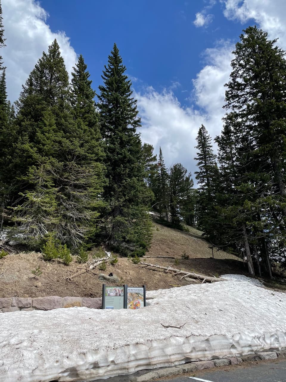 2022美國打工旅遊🇺🇸 #IEE #黃石公園 - 旅遊板 | Dcard