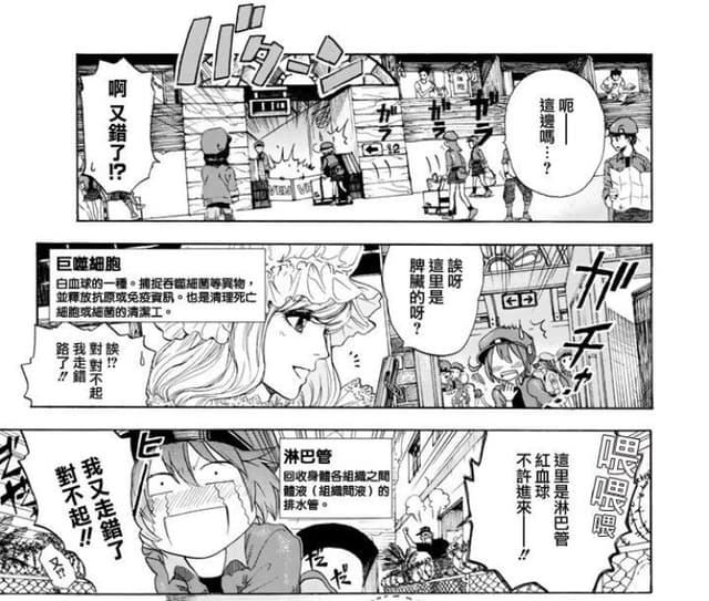 #推薦 工作細胞 - B19 留言 | Dcard