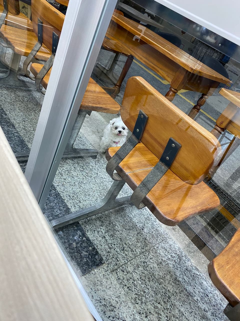 凝視 - 閒聊板 | Dcard