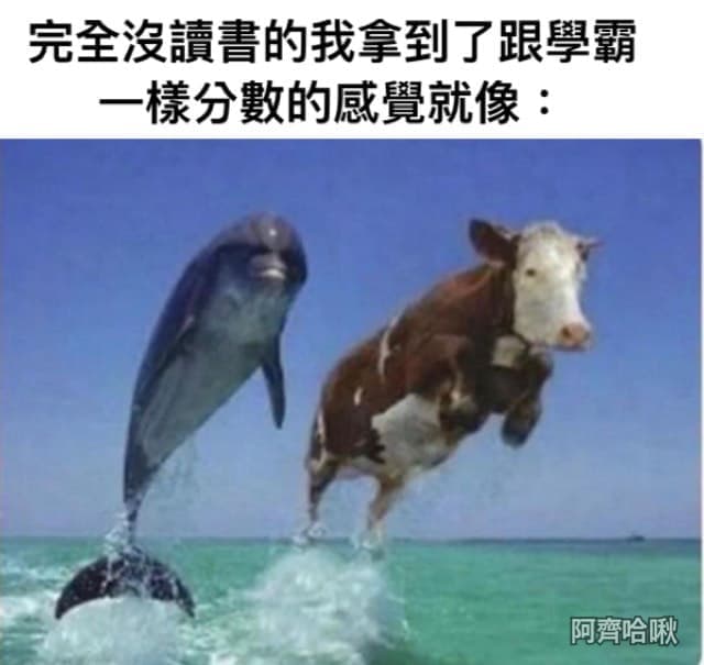 這我 梗圖板 Dcard