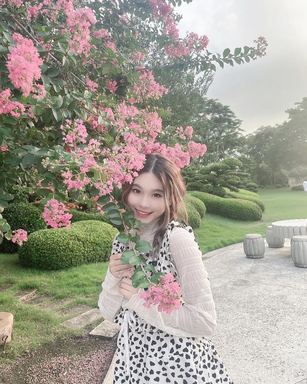 日光之橙成員微介紹文(下/玉歆Cherry宥彤 - 未來少女板 | Dcard