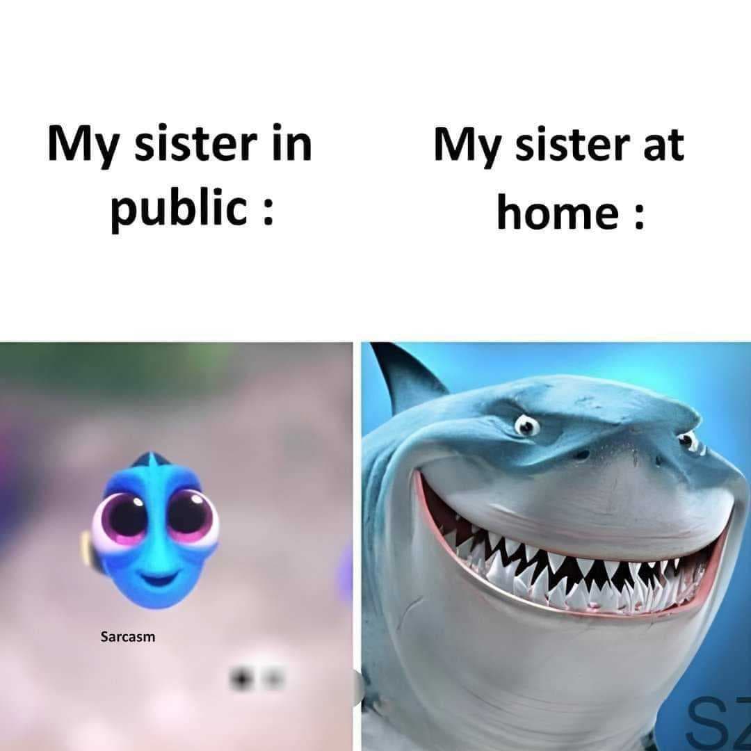 Does anyone have the same sister? 🤣 - MY_Memes板 | Dcard