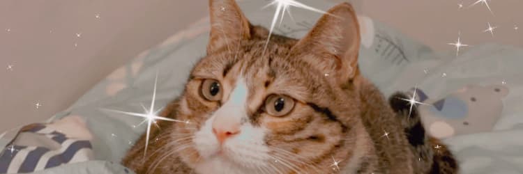 小雷 我妻梅子 (@rey_316) | Dcard